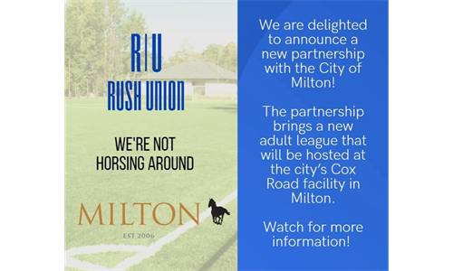 Home [georgiarush.com]